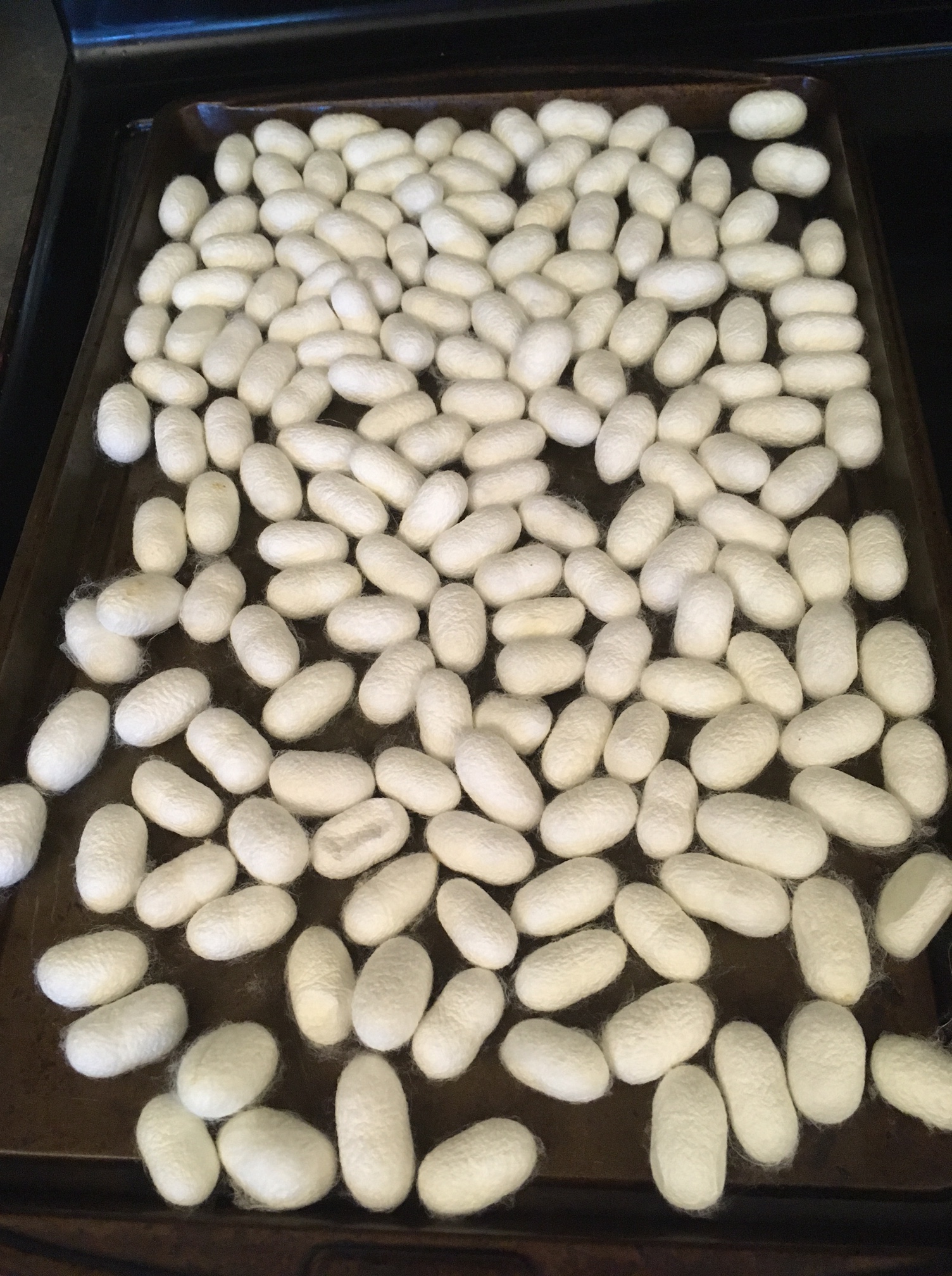 Silk, Part III – The Land of Silk & Honey